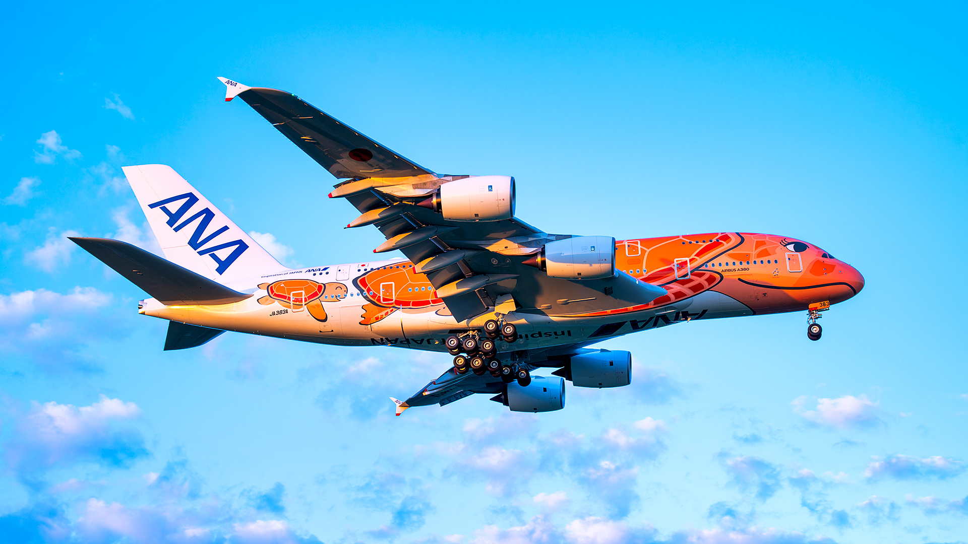 【ANA】重整備を終えて成田に帰還！FLYING HONU 3号機 10月20日ホノルル線デビューへ！！ - Aviation Picks