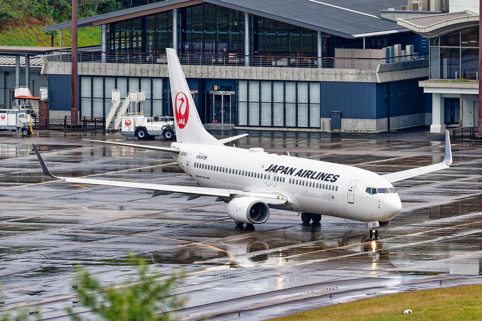 【JAL】パンダに逢いに行こう！南紀白浜線が嬉しい増便 - Aviation Picks